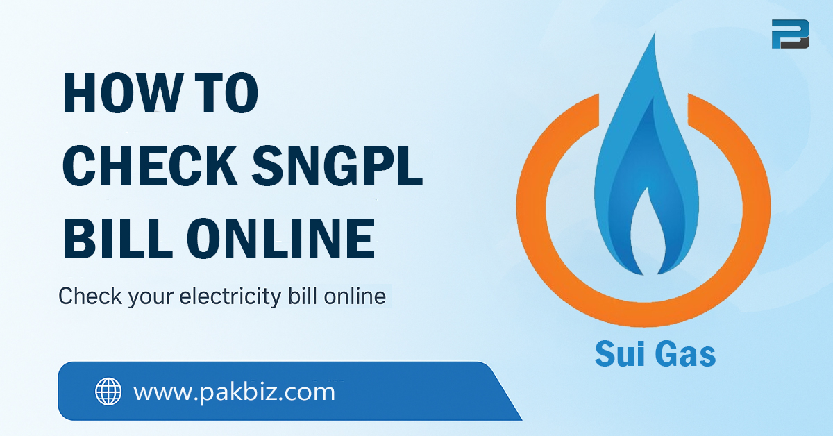 SNGPL Bill Check Online - View Your Sui Gas Bill October 2026