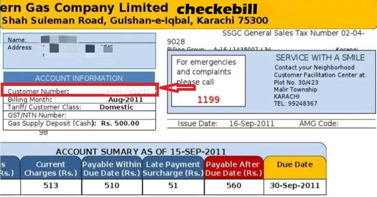 SSGC Duplicate Bill February 2026 - Sui Gas Bill Online